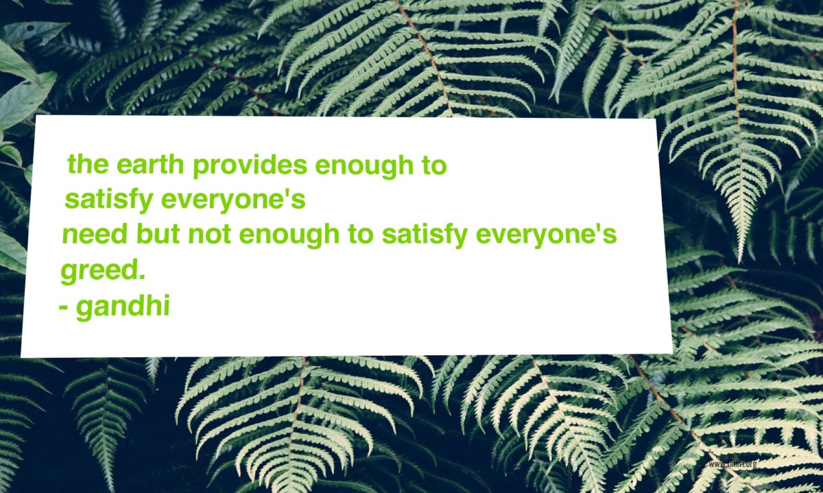 Thought for the Day – Timirí